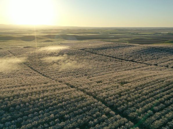 Farmington CA Real Estate - Farmington CA Homes For Sale | Zillow