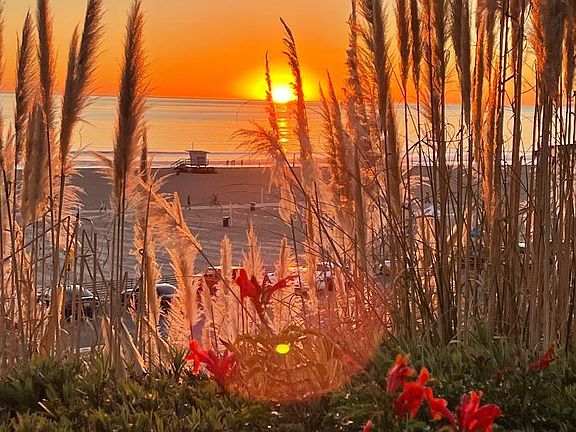 1347 Palisades Beach Rd, Santa Monica, CA 90401 | Zillow