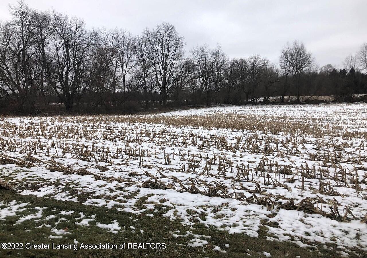 909 E Webb Dr, Dewitt, MI 48820 | Zillow