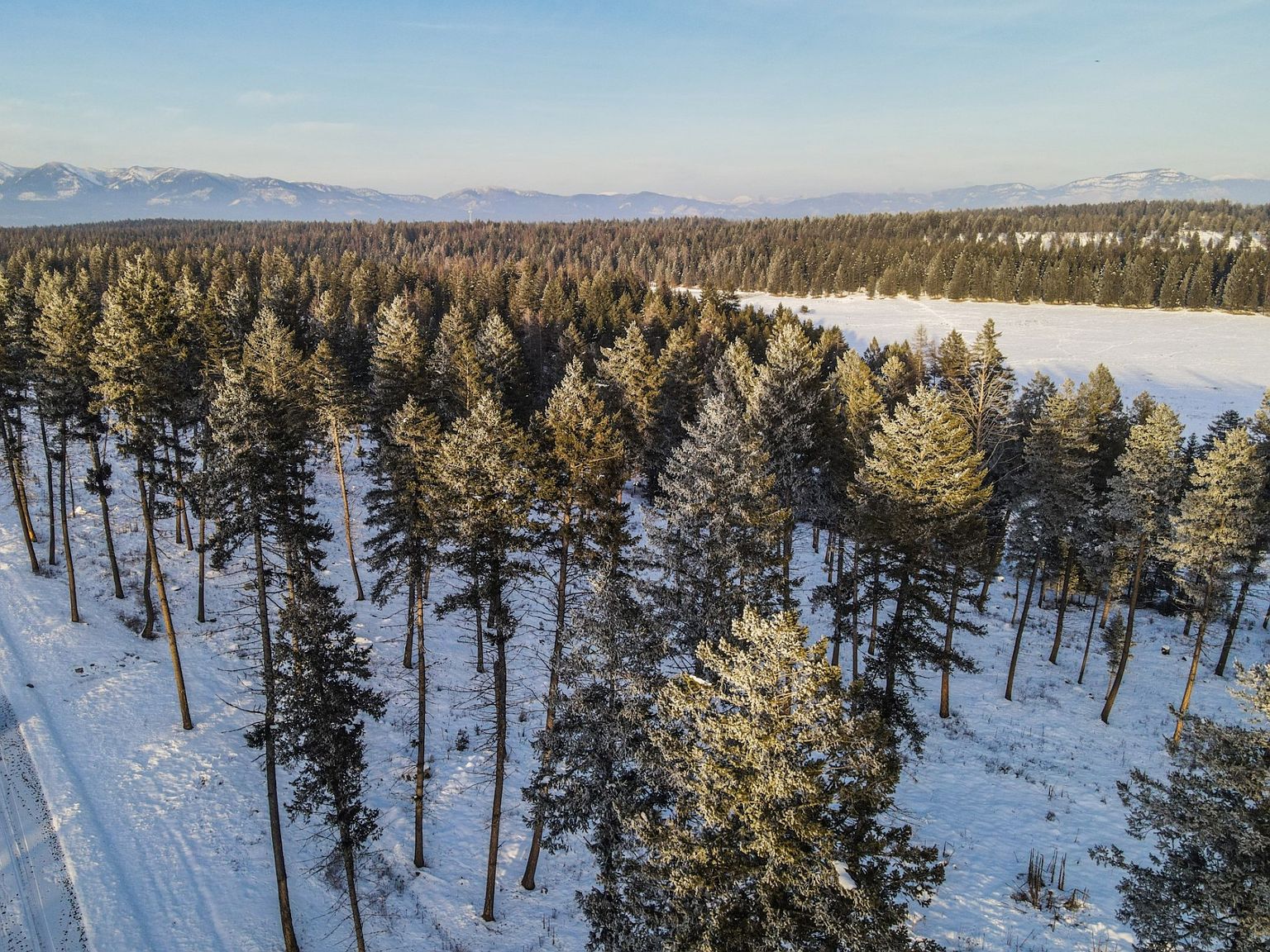 269 Layton Rd, Whitefish, MT 59937 | MLS #30039450 | Zillow