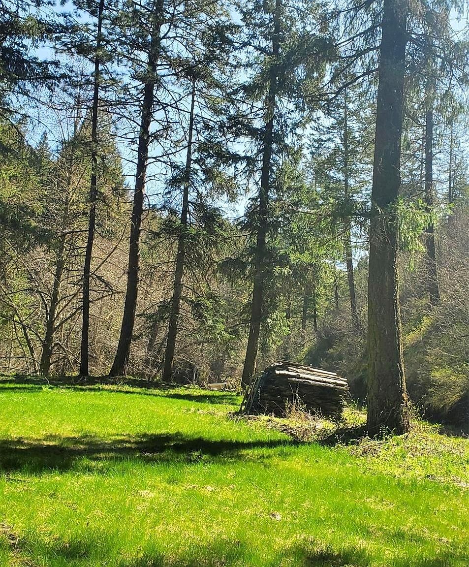 6831 S Fork Coppei Road, Dixie, WA 99329 | MLS #NWM2069688 | Zillow