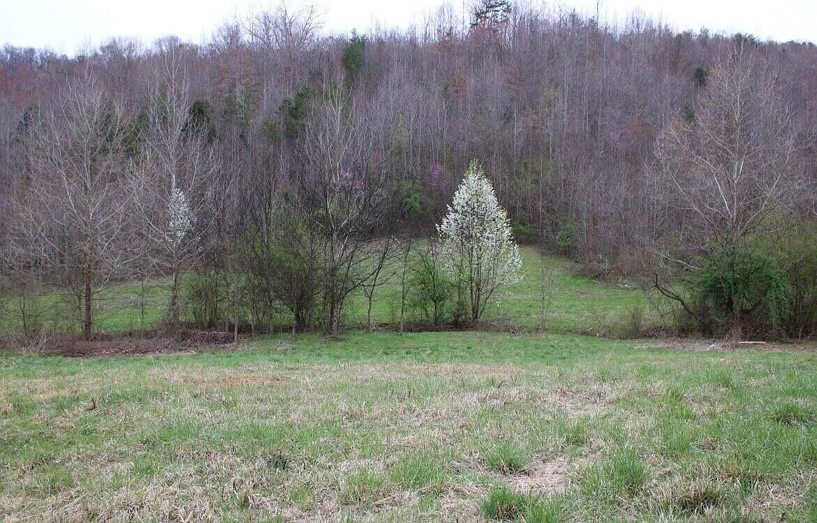 1094 Rhea County Hwy LOT 7, Dayton, TN 37321 | Zillow