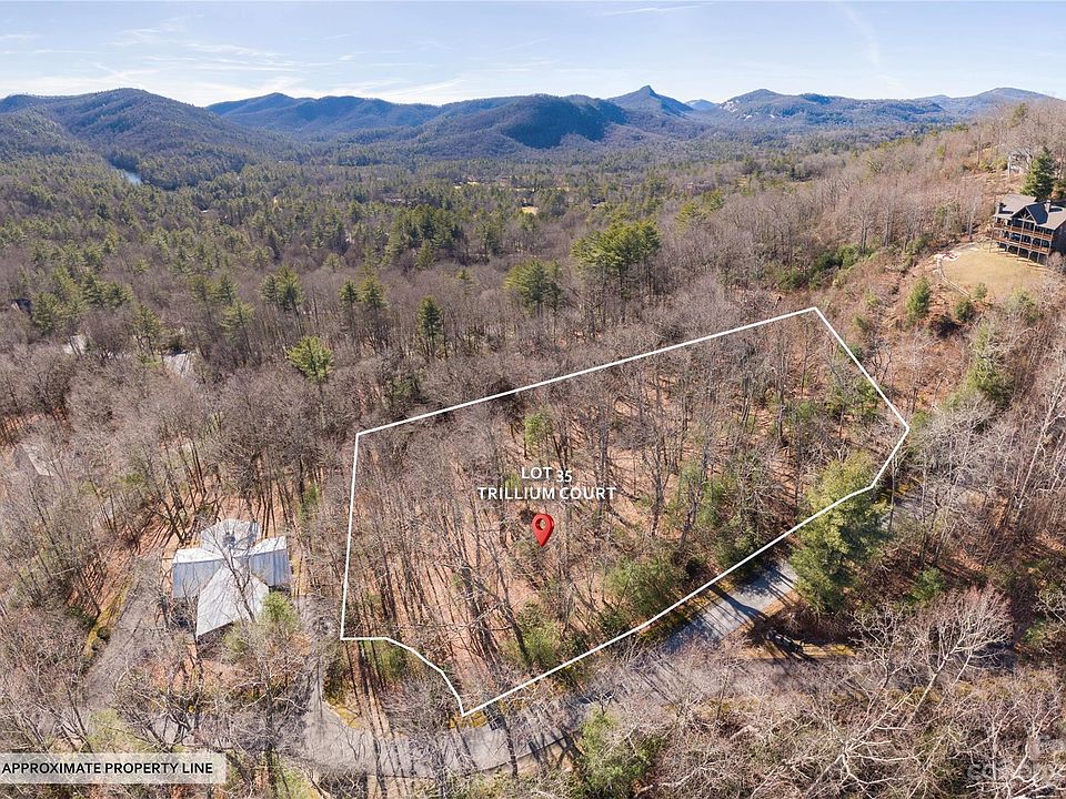 35 Trillium Ct, Sapphire, NC 28774 | Zillow