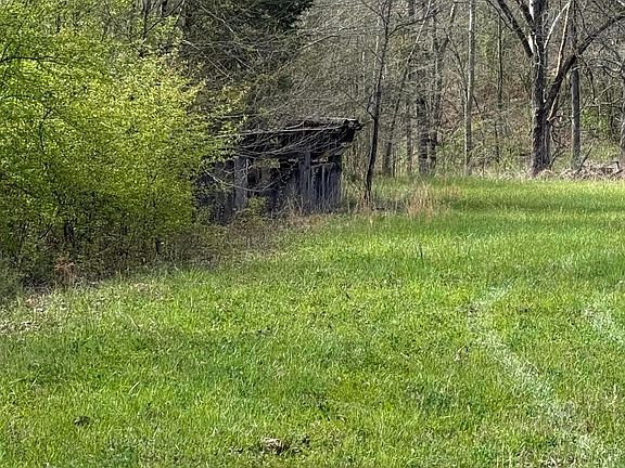 LOT 2 Longtown Rd, Bulls Gap, TN 37711 | MLS #705046 | Zillow