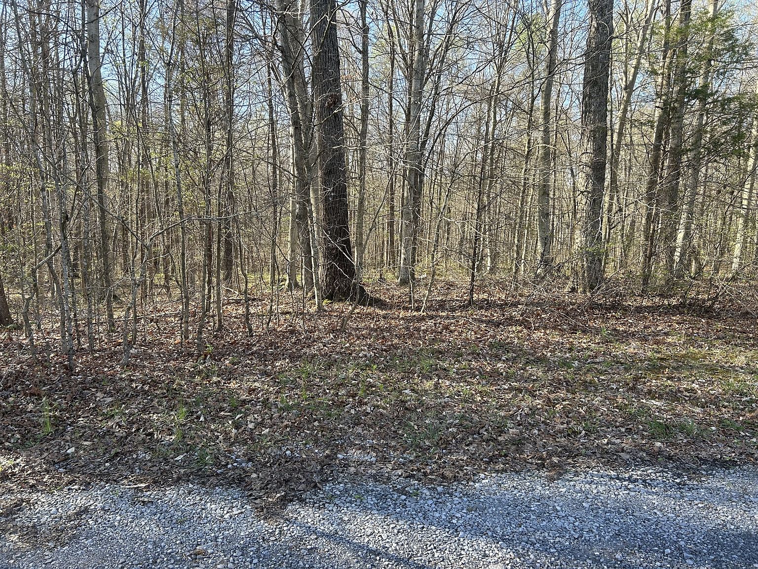 0 Ginger Ct LOT 3, Dover, TN 37058 | Zillow