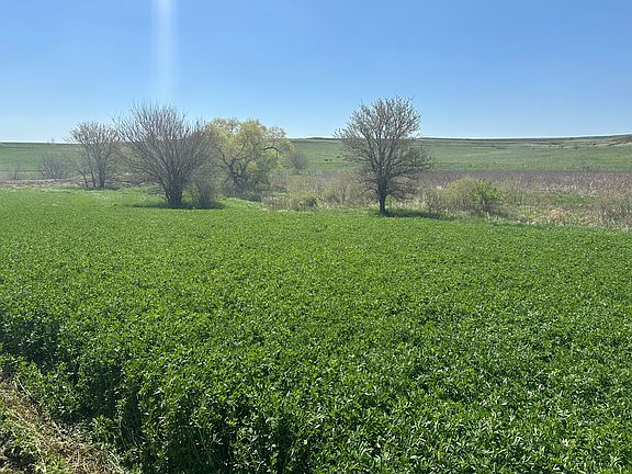 33413 Cary Ave, Silver City, IA 51571 | MLS #11252485 | Zillow