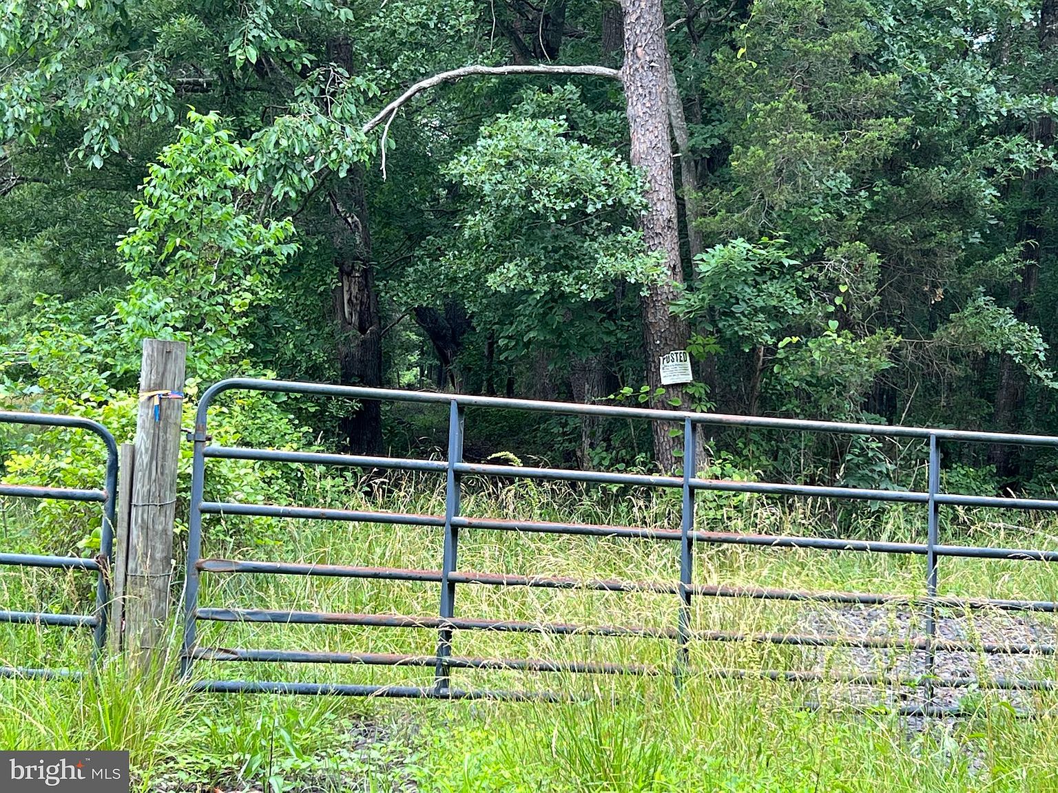 0 Mount Pony, Culpeper, VA 22701 | Zillow