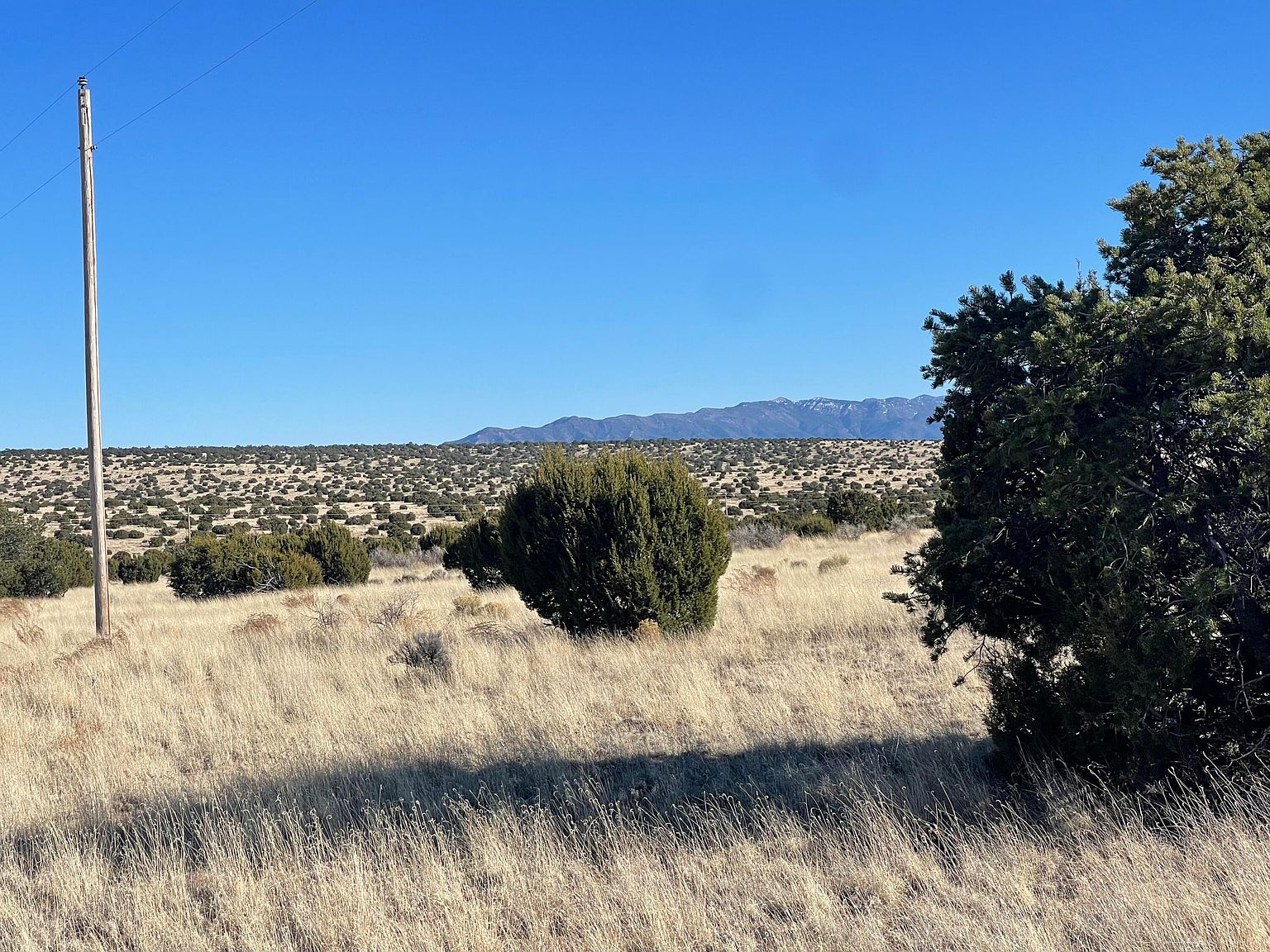 LOT 24 Pinon Springs Rd, Magdalena, NM 87825 | MLS #1061065 | Zillow