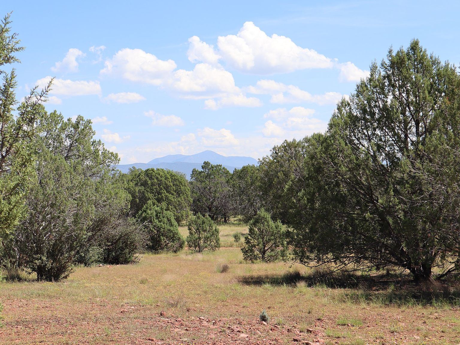 98 Juniper Wood, Ash Fork, AZ 86320 | Zillow