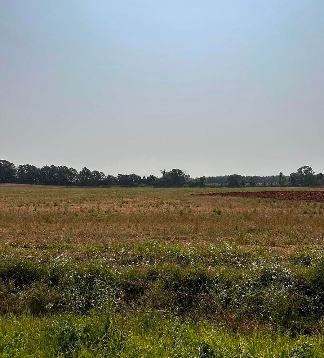 TRACT 55 Hays Mill Rd, Elkmont, AL 35620 | MLS #1835924 | Zillow