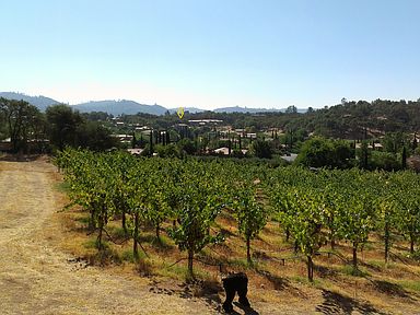 9661 Clos Du Lac Cir, Loomis, CA 95650 | Zillow