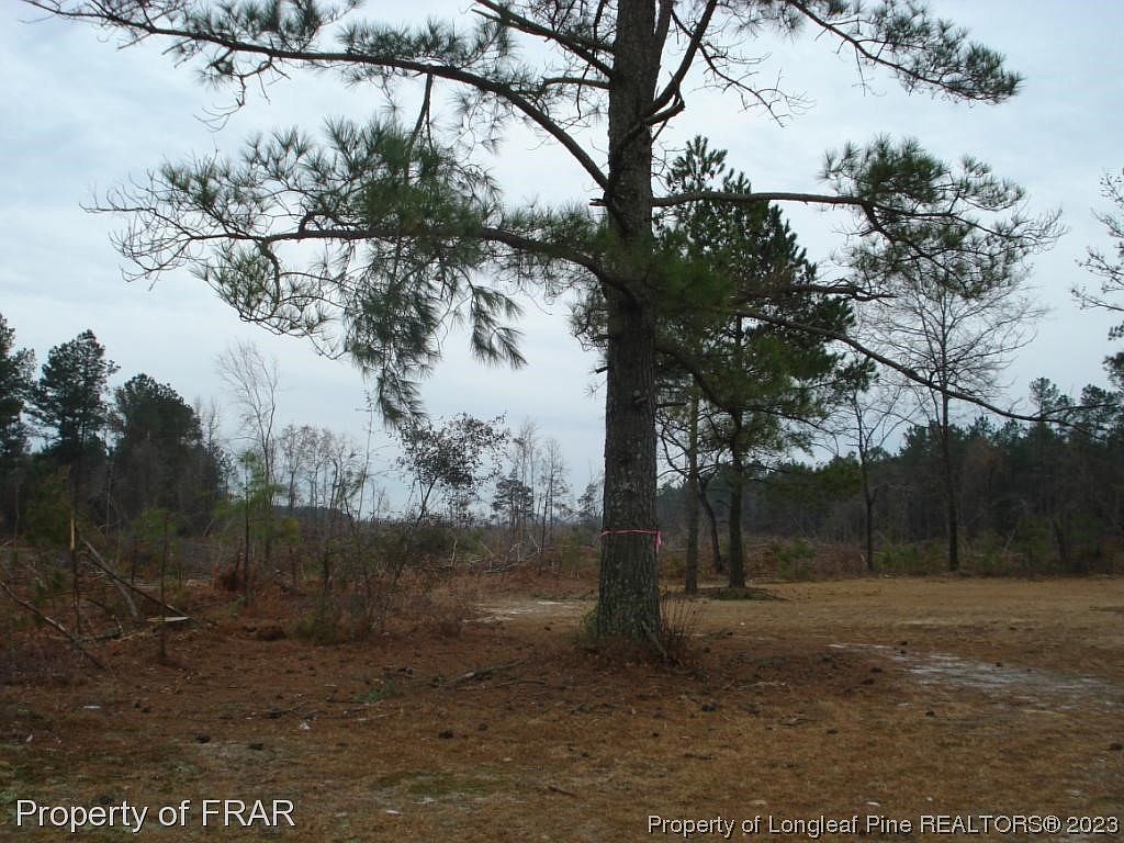 Ozzie Rd, Clinton, NC 28328 | Zillow