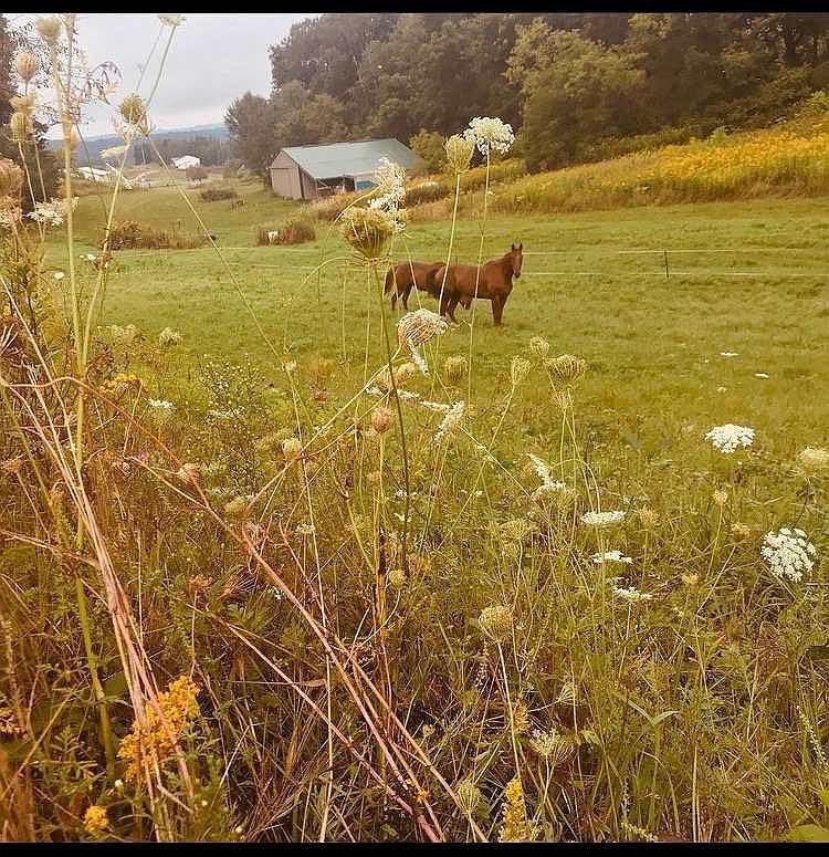 L2 Julia Rd LOT 2, Camp Douglas, WI 54618 | Zillow