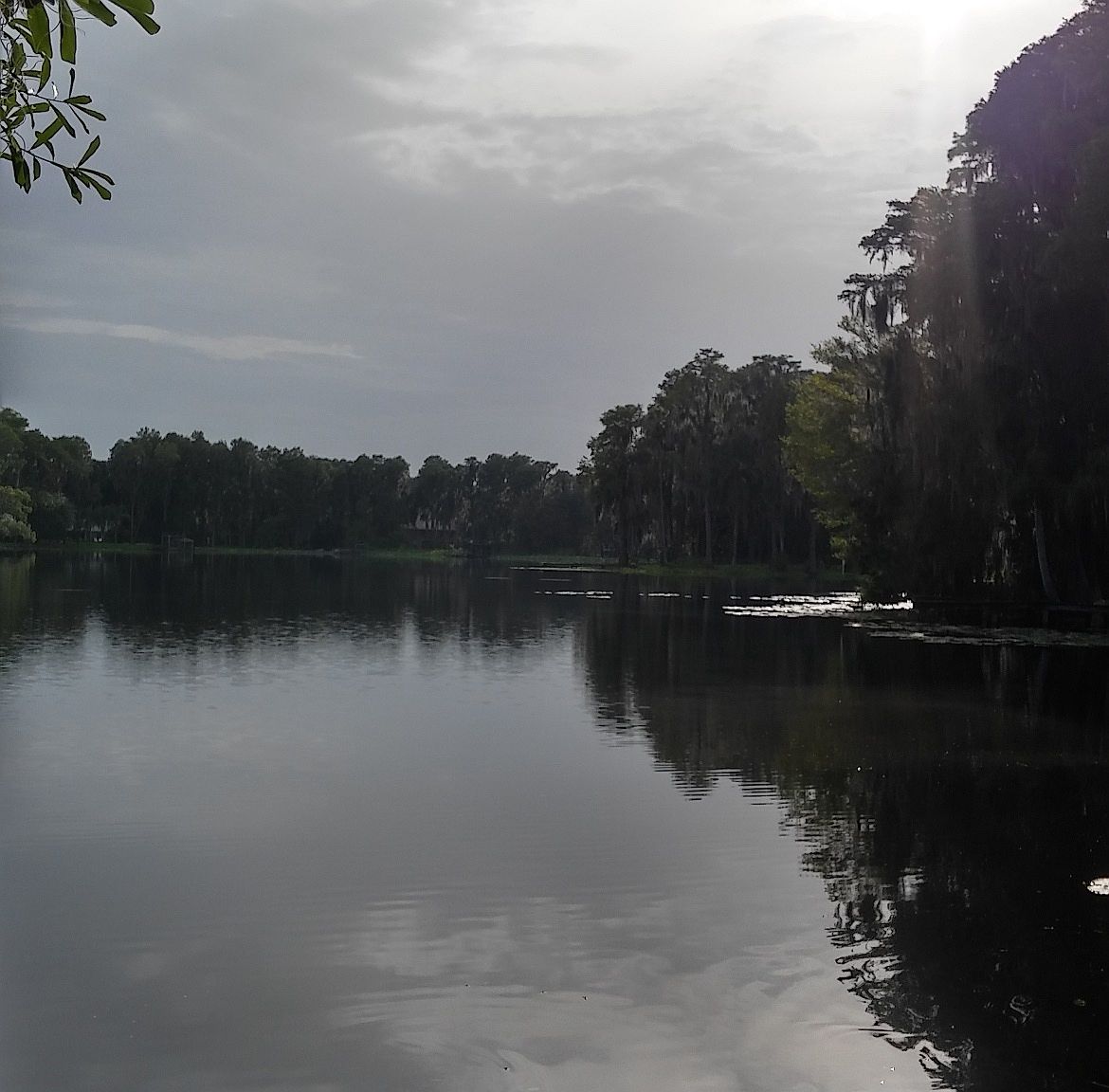 3510 Crenshaw Lake Rd, Lutz, FL 33548 | Zillow