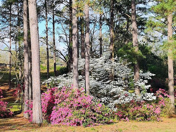 17324 Bashi Rd, Thomasville, AL 36784 | Zillow