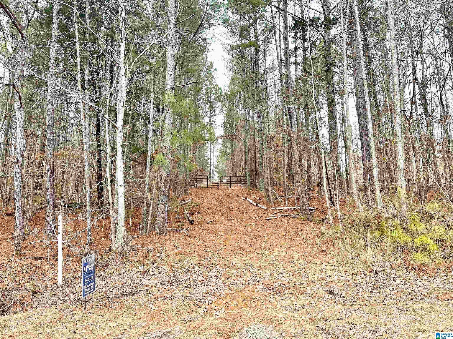 County Road 10 #NA, Ranburne, AL 36273 | Zillow