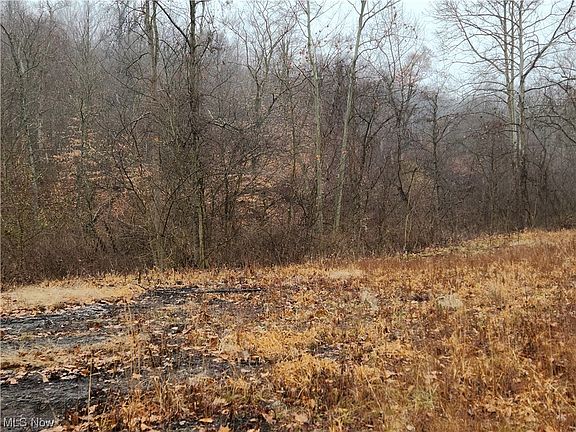 Vl State Rte #93, New Straitsville, OH 43766 | MLS #5005685 | Zillow