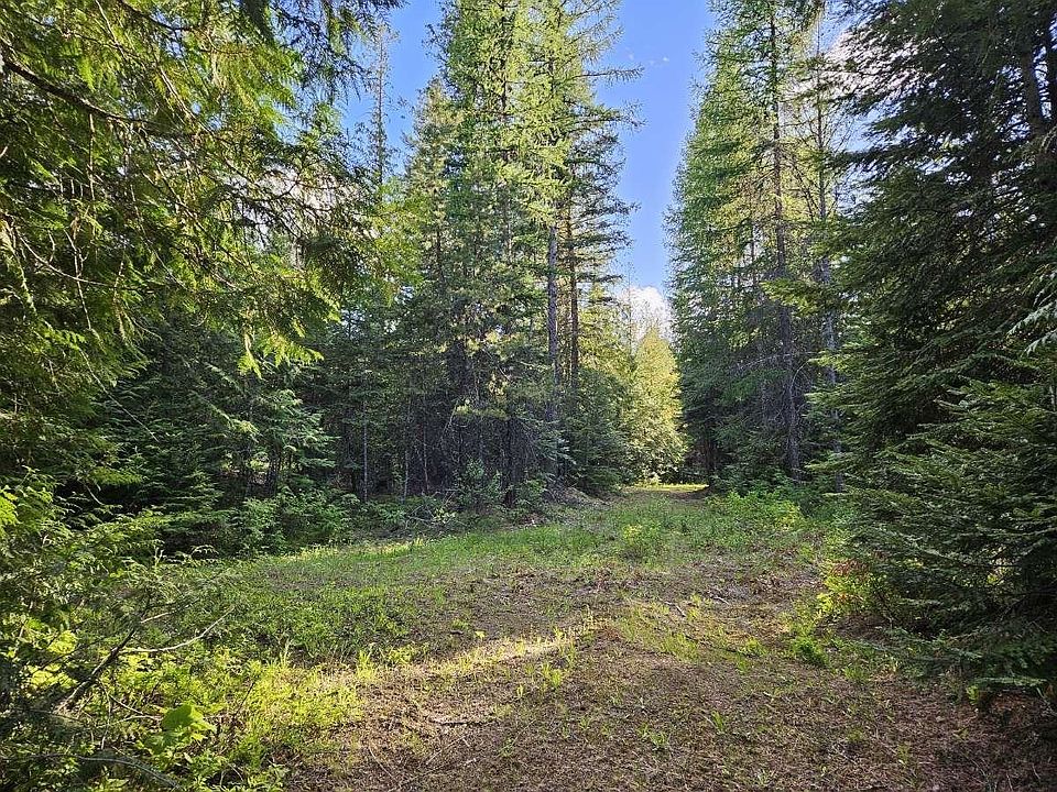 Nka Blackberry Ln, Usk, WA 99180 | Zillow
