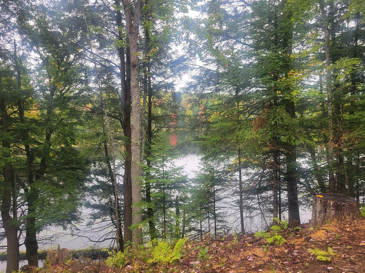 On Gus Ln, Bruce Crossing, MI 49912 | MLS #203830 | Zillow