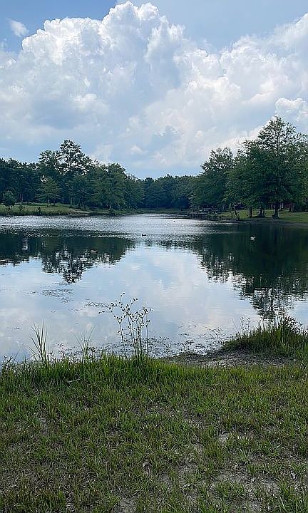 1341 Smith Forest Rd, Creola, AL 36525 | Zillow