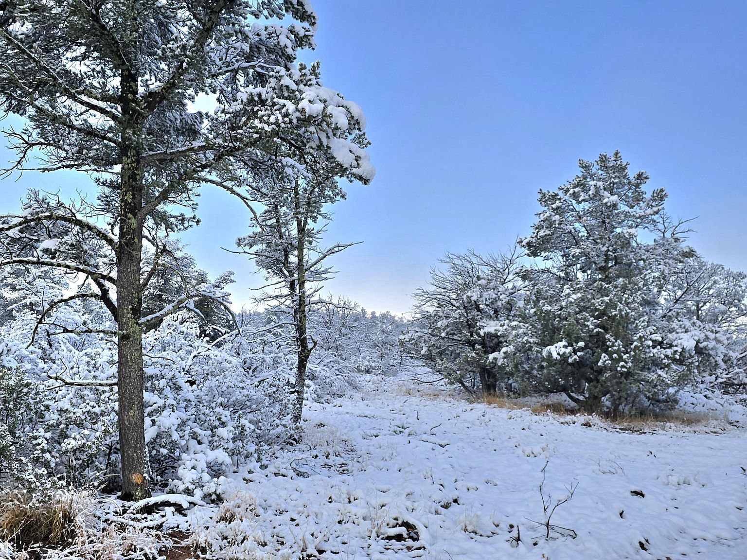 4H N Ike Clark Pkwy #2, Young, AZ 85554 | MLS #6922815 | Zillow