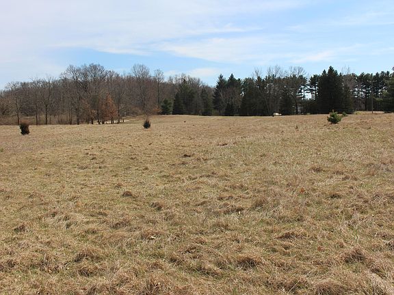 4400 Fishville Rd PARCEL D, Grass Lake, MI 49240 | MLS #24014154 | Zillow