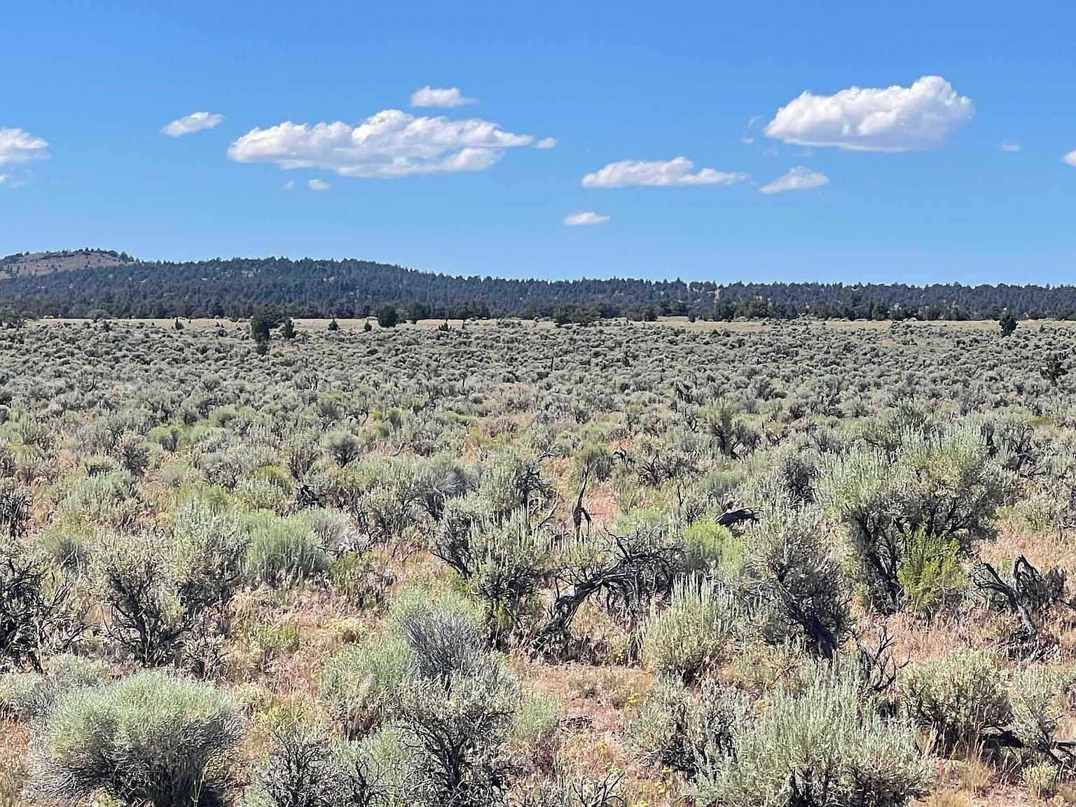 Benjamin Lake Rd #L-502, Christmas Valley, OR 97641 | Zillow