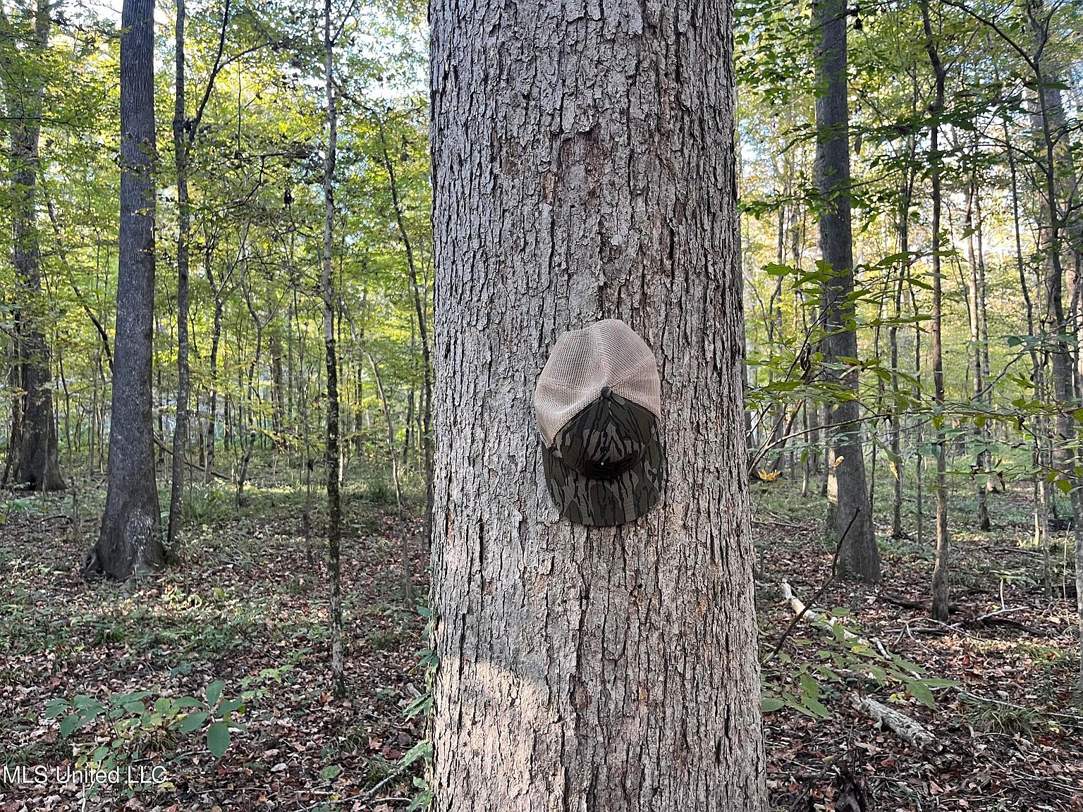 0 Percy Davis Rd, Bolton, MS 39041 | MLS #4096427 | Zillow