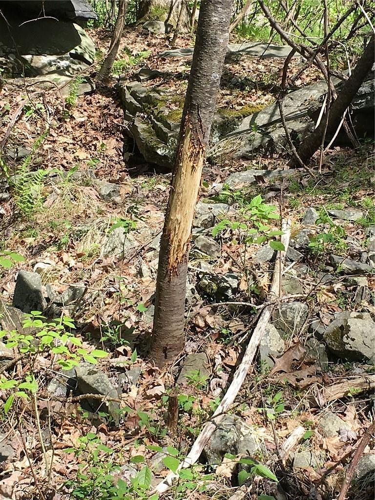 Logtown Road, Pt Jervis, NY 12771 | MLS #H6326712 | Zillow