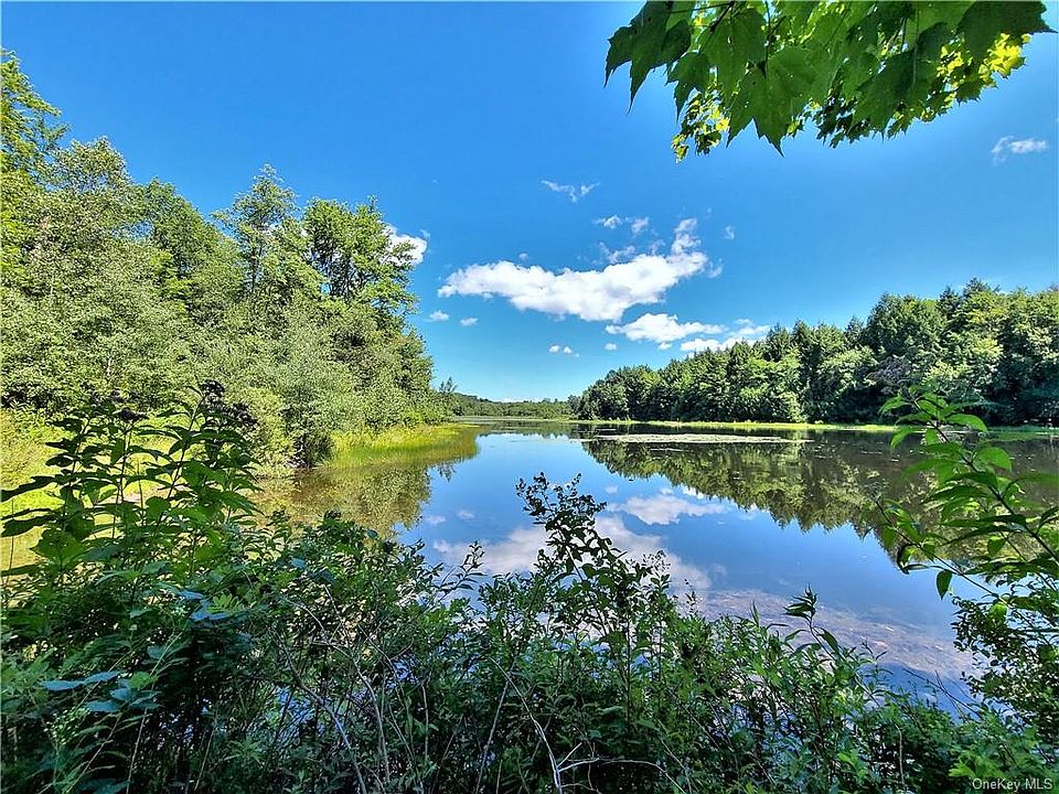 Lot 19.1 Beaver Lake Road, Livingston Manor, NY 12758 | MLS #H6232604 ...