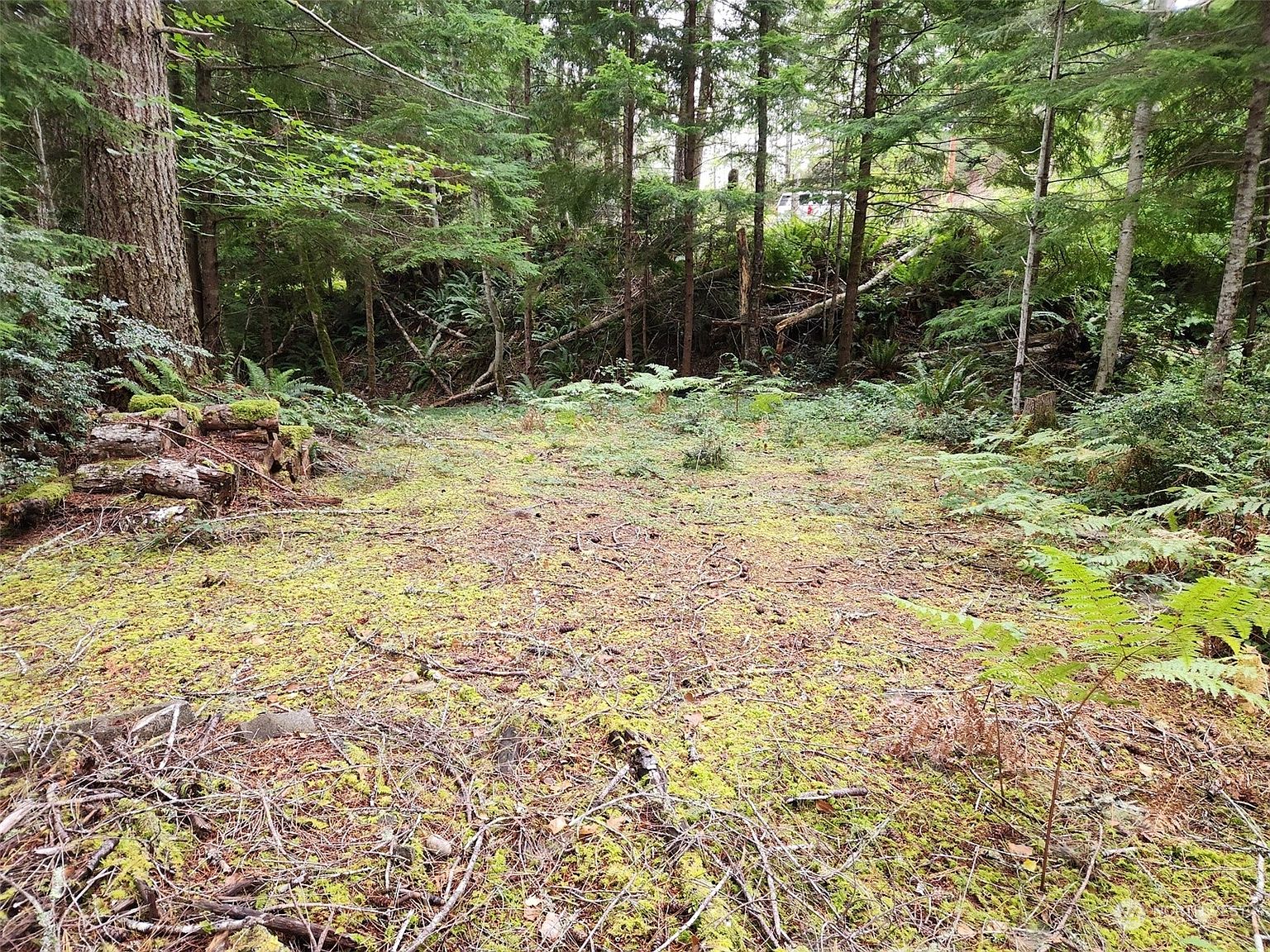 0 xxx NE Lake Christine Road, Tahuya, WA 98588 | Zillow