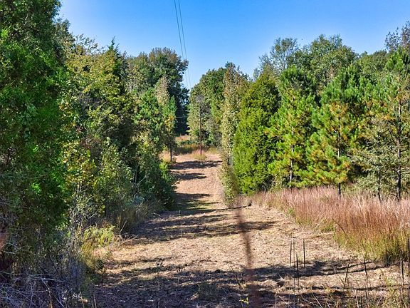 165 Carrol Rd, Pattison, MS 39144 | MLS #137346 | Zillow