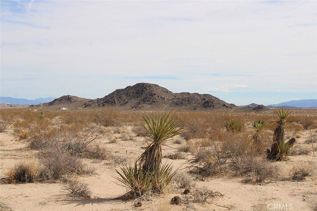 62555 Sonora Rd, Joshua Tree, CA 92252 | Zillow