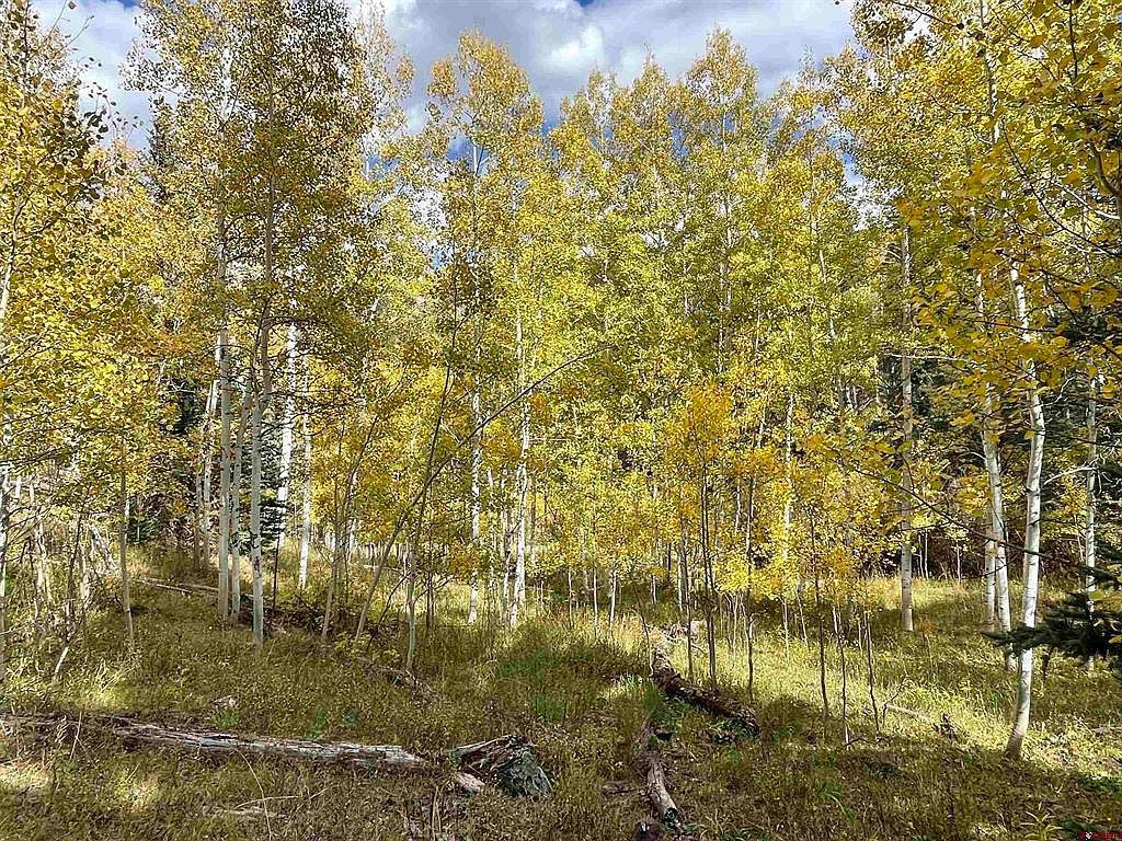 73 Buckskin Way, Cimarron, CO 81243 | Zillow