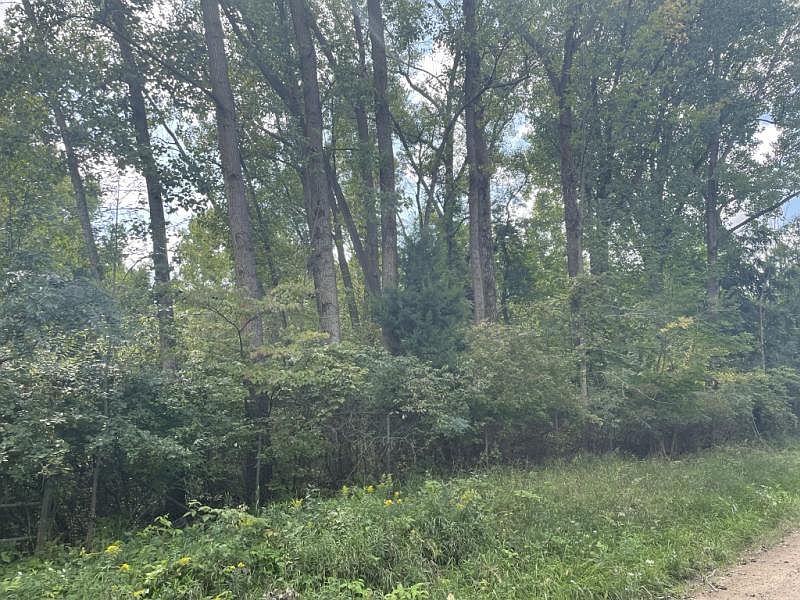 Hutchinson Rd, Unionville, MI 48767 | Zillow