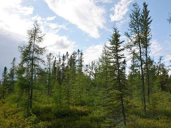 Clinton Twp, Forbes, MN 55738 | MLS #6457122 | Zillow