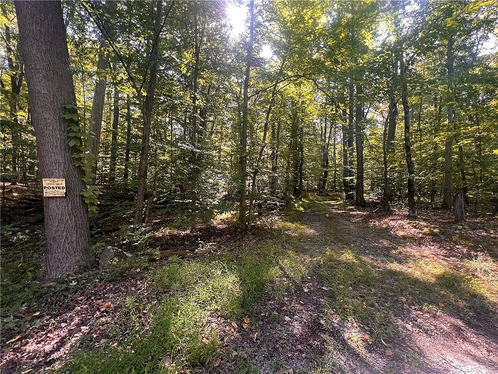 0 Route 381 Ln, Rector, PA 15677 | Zillow