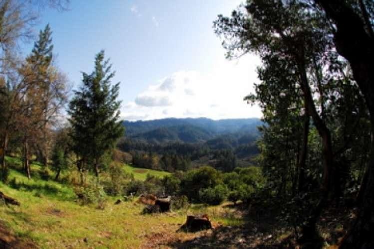 10970 Long Ridge Rd, Zenia, CA 95595 | MLS #224099295 | Zillow