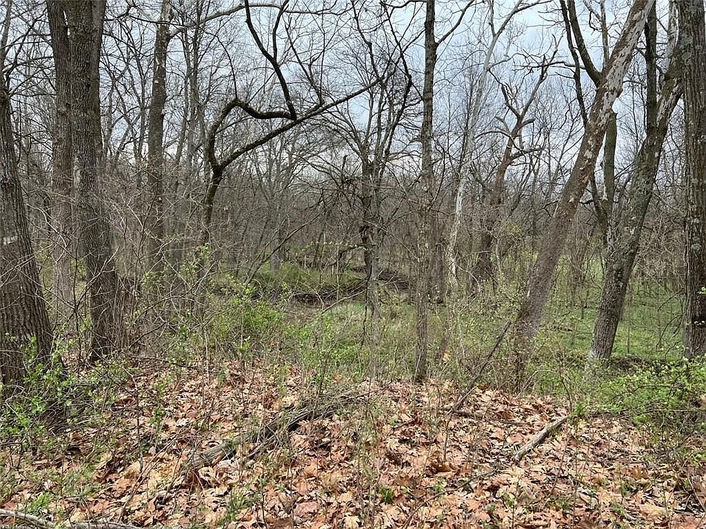 TRACT 4 Kinnamon Rd, Odessa, MO 64076 | MLS #2521667 | Zillow
