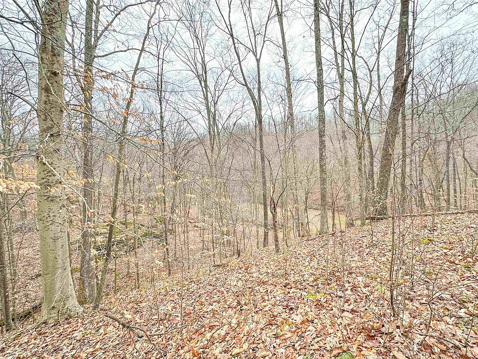 800 Red Lick Rd, New Milton, WV 26411 | Zillow