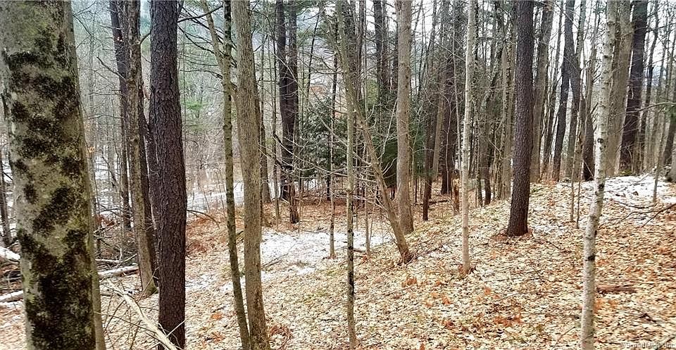 0 Route 63, Falls Village, CT 06031 | Zillow