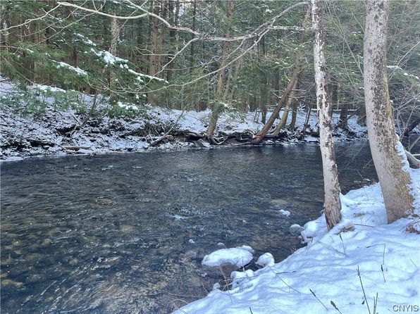 Salmon River - Pulaski NY Real Estate - 18 Homes For Sale | Zillow