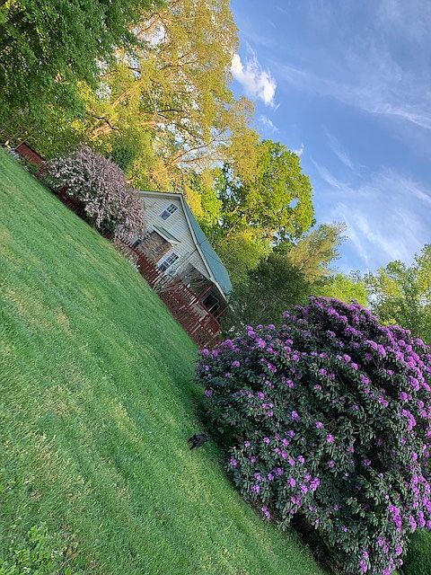 287 Maxwell Rd, Blue Ridge, GA 30513 | Zillow