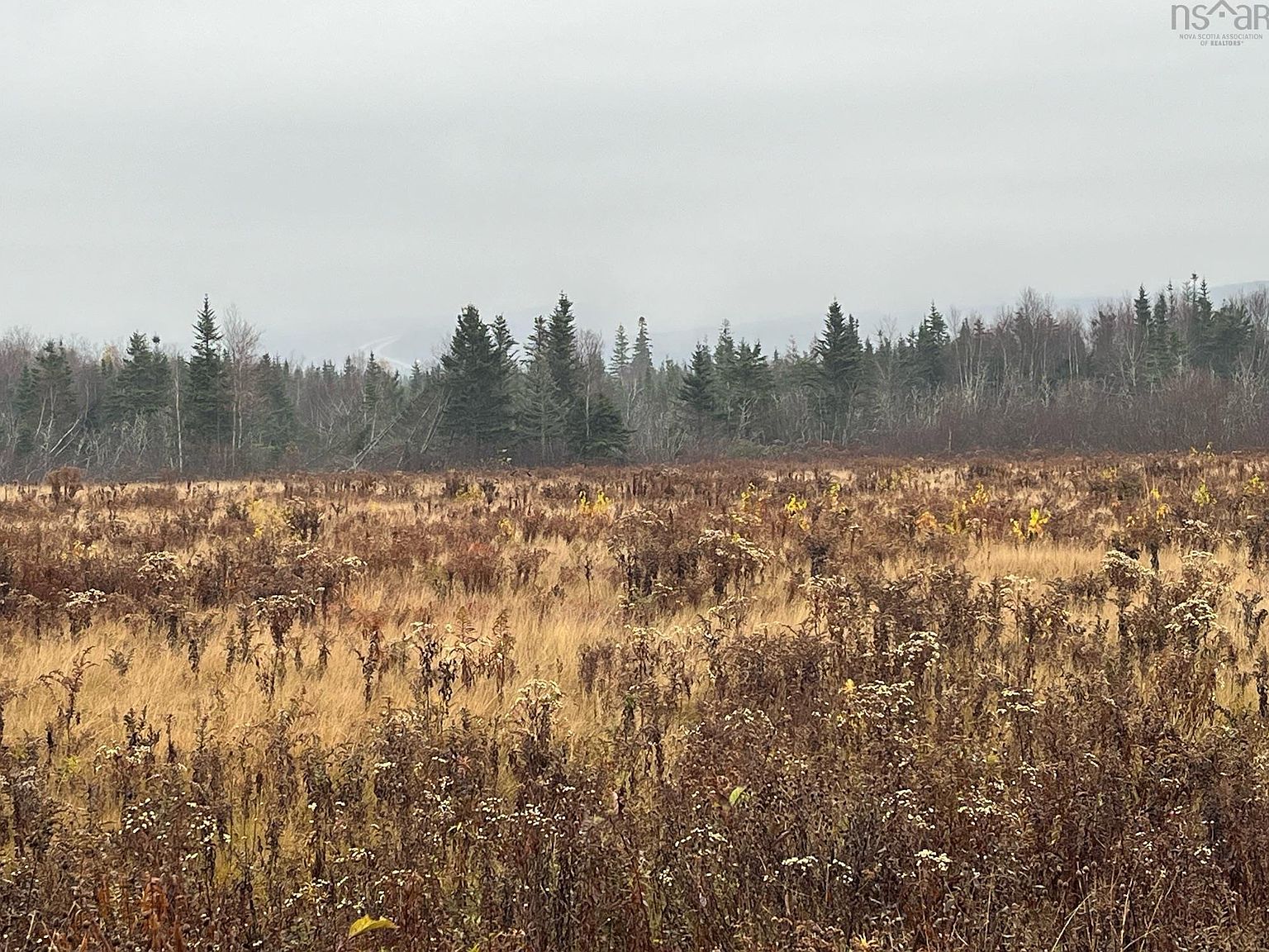 Old Pictou Rd, Colchester, NS B6L 2L6 | MLS #202426024 | Zillow