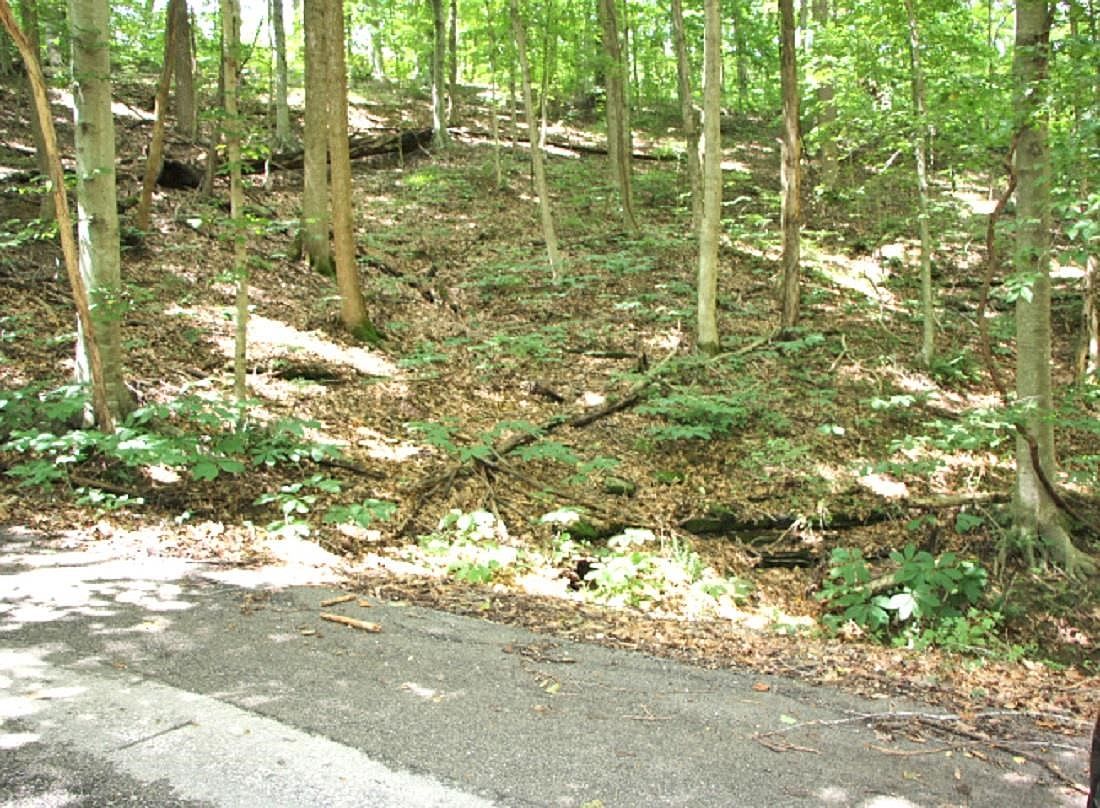 LOT 33 Navajo Trl, Lucas, KY 42156 | Zillow