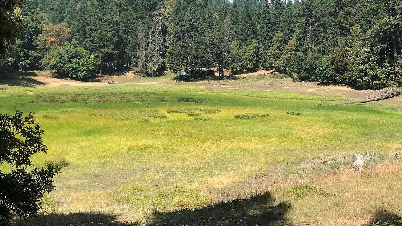 1255 McDonald Creek Rd, Burnt Ranch, CA 95527 | MLS #267935 | Zillow