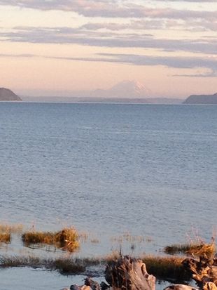 888 Livingston Bay Shore Dr, Camano Island, WA 98282 | Zillow