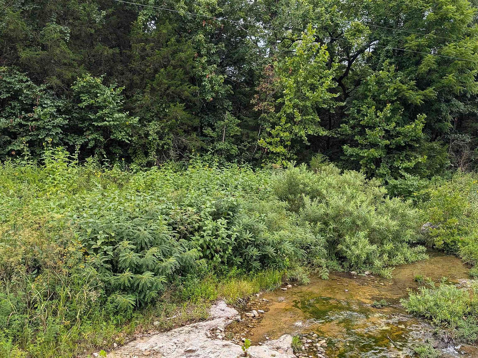 4525 56th Hwy, Evening Shade, AR 72532 | MLS #24024101 | Zillow