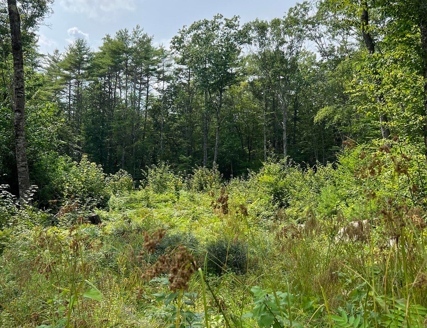 99 Rolling Brook Road Lot 56-28, Raymond, ME 04071 | Zillow