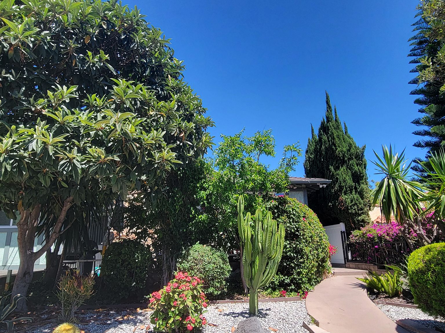 514 S Adams St APT 4, Glendale, CA 91205 | Zillow